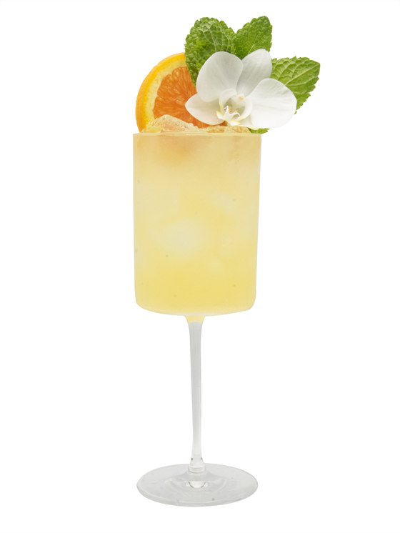 Orange Blossom Spritz Recipe - Monin US