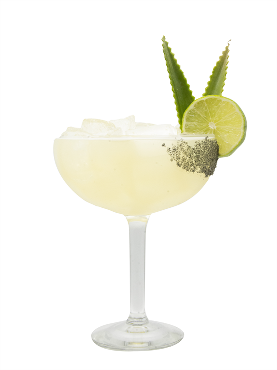 Spicy Agave Margarita Recipe - Monin US