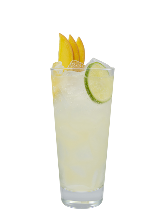 Honey Mango Gin Rickey Recipe - Monin US