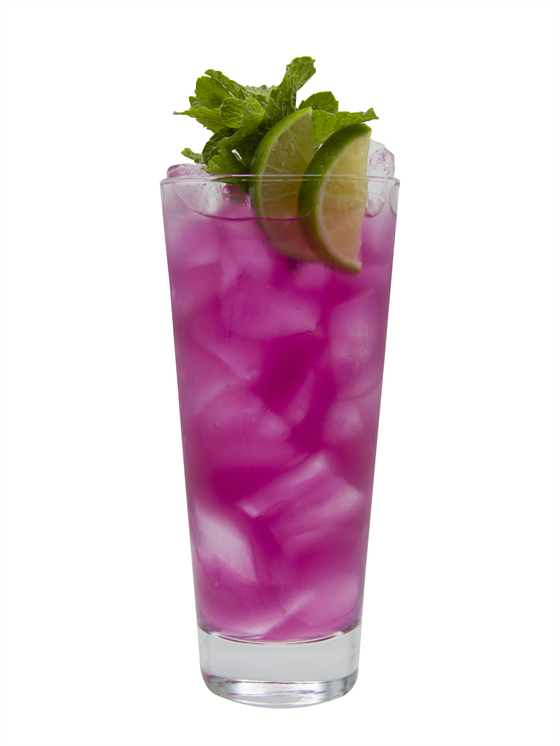 Purple Boost Soda Recipe - Monin US