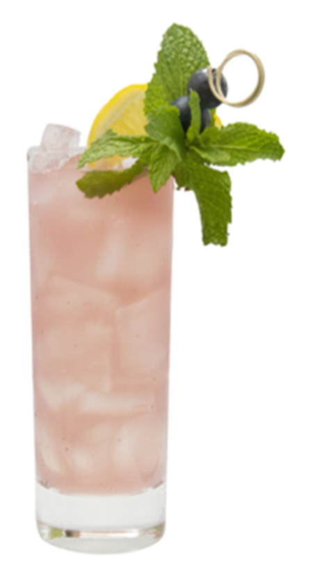 Berry Tonic Recipe - Monin US