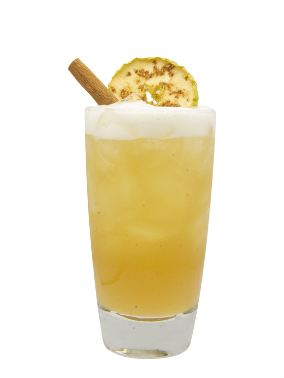 Apple Refresher Recipe - Monin US