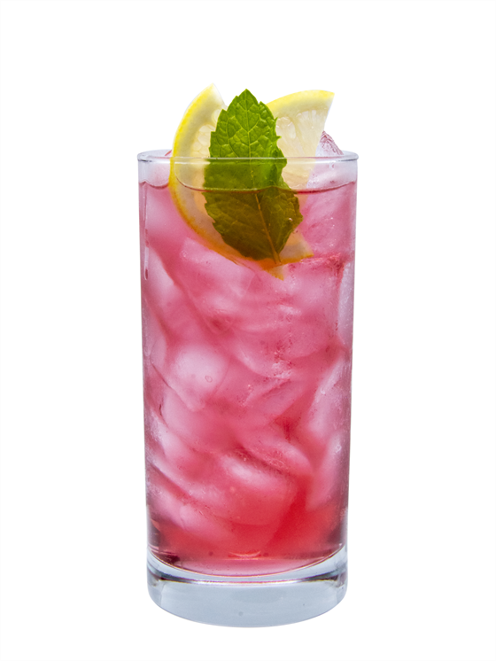 Hibiscus Vanilla Italian Soda - Monin US