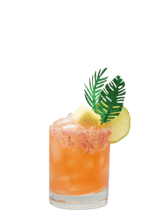Shady Palms Margarita Recipe - Monin US