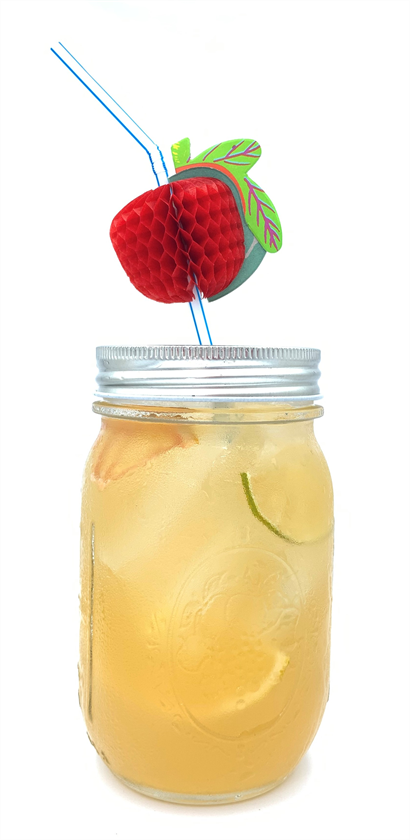 Winter Citrus Punch - Monin US