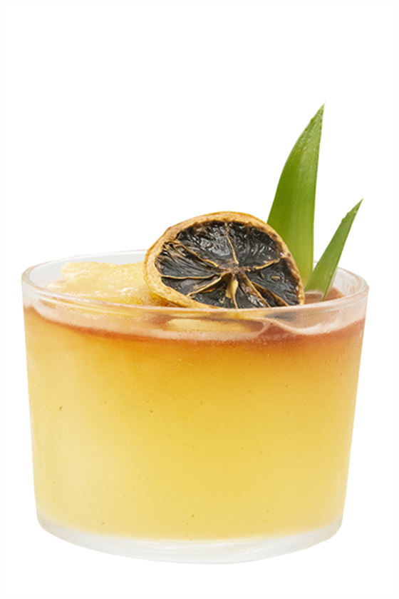South Seas Sour Recipe - Monin US