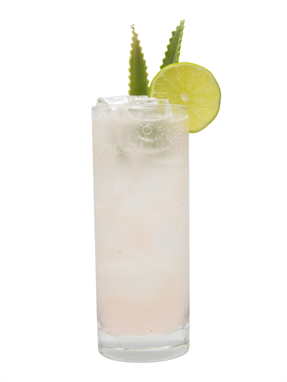 Spicy Agave Ranch Water Recipe - Monin US